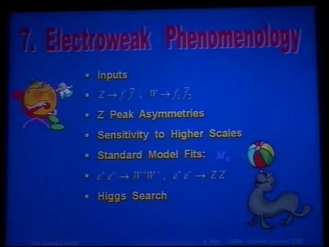 The Standard Model (7/8) - CERN Document Server
